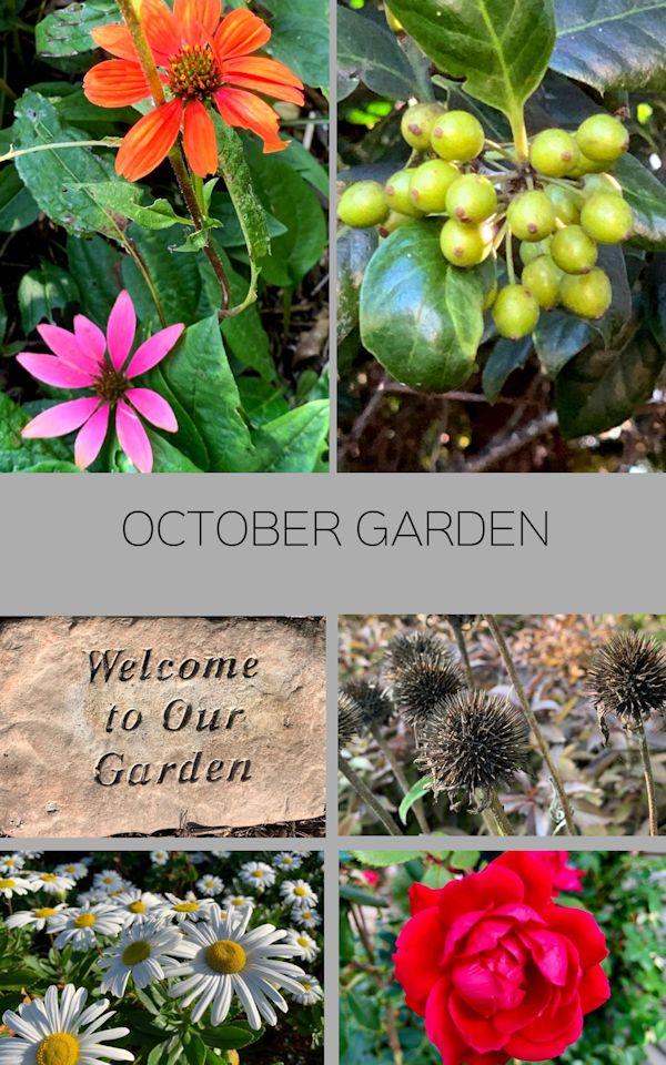 A GUIDE TO NORTHEASTERN GARDENING: Garden Bloggers' Bloom Day & Foliage ...
