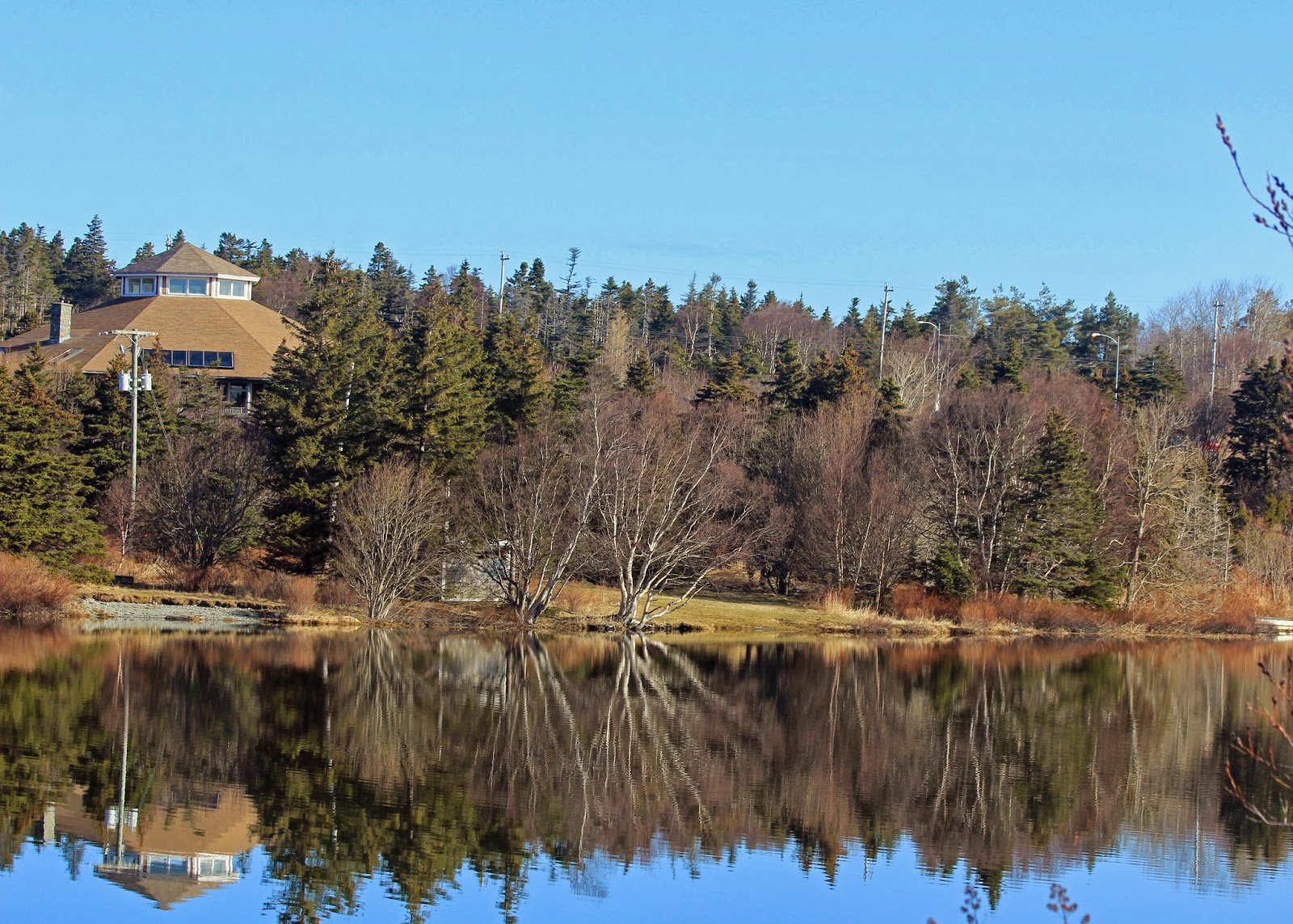 Birding with Lisa de Leon: Birding Long Pond, St. John's, NL