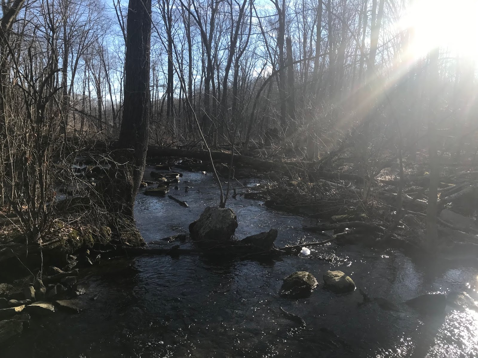 JCXC: GWLT Series: Broad Meadow Brook Wildlife Sanctuary