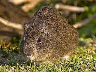 No queremos ser mejores, diferentes nada más: La verdadera razón de por ...