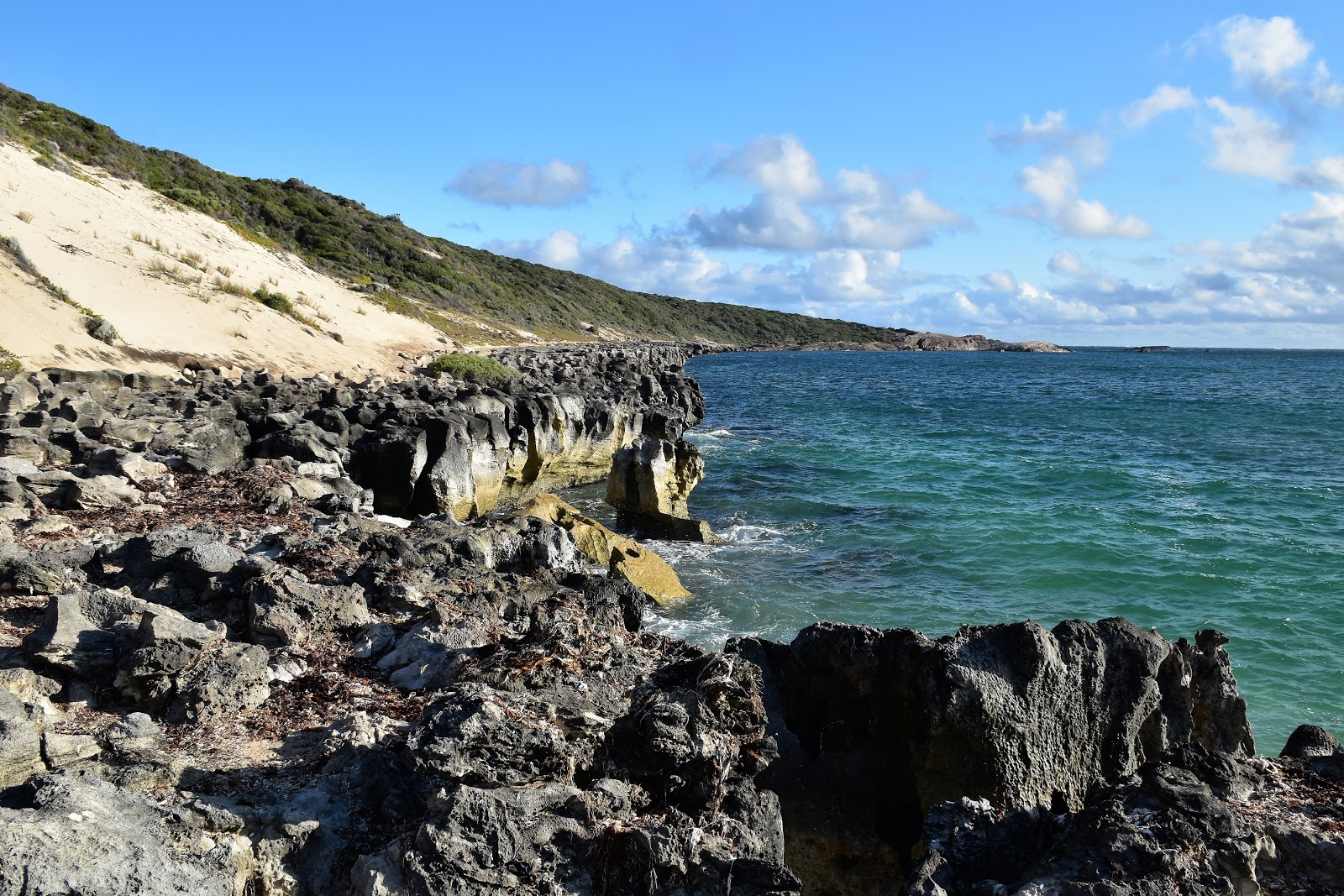 Goin' Feral One Day At A Time: Point Road Campground to Deepdene ...