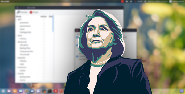 Download now your version of bleachbit The powerful alternative to ...