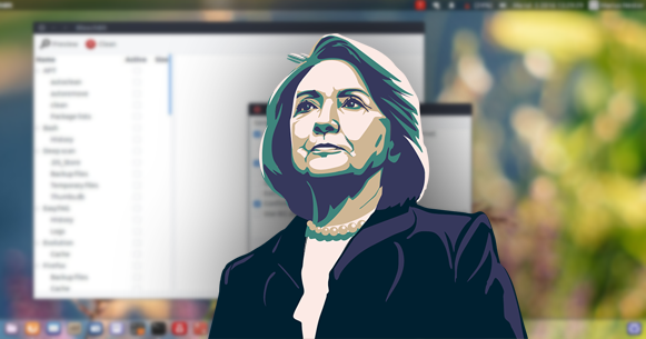 Download now your version of bleachbit The powerful alternative to ...