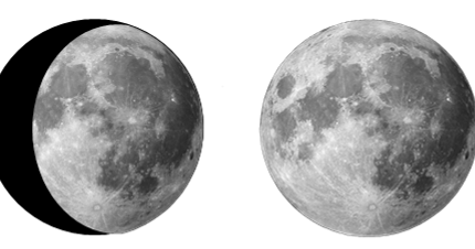 Discover Your Moon Phase