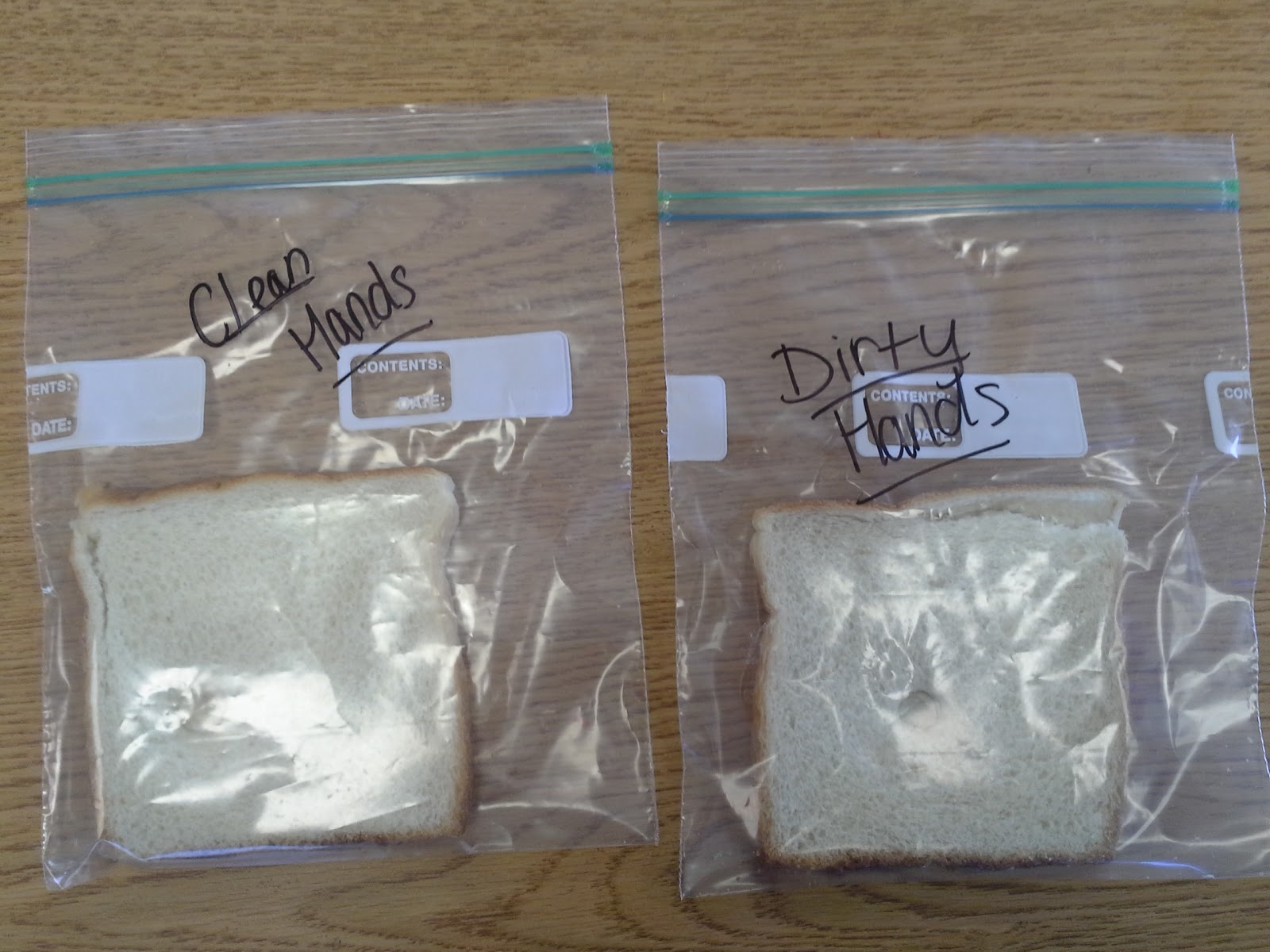 Food, Health and Hygiene Fun & TWO Friday Freebies!