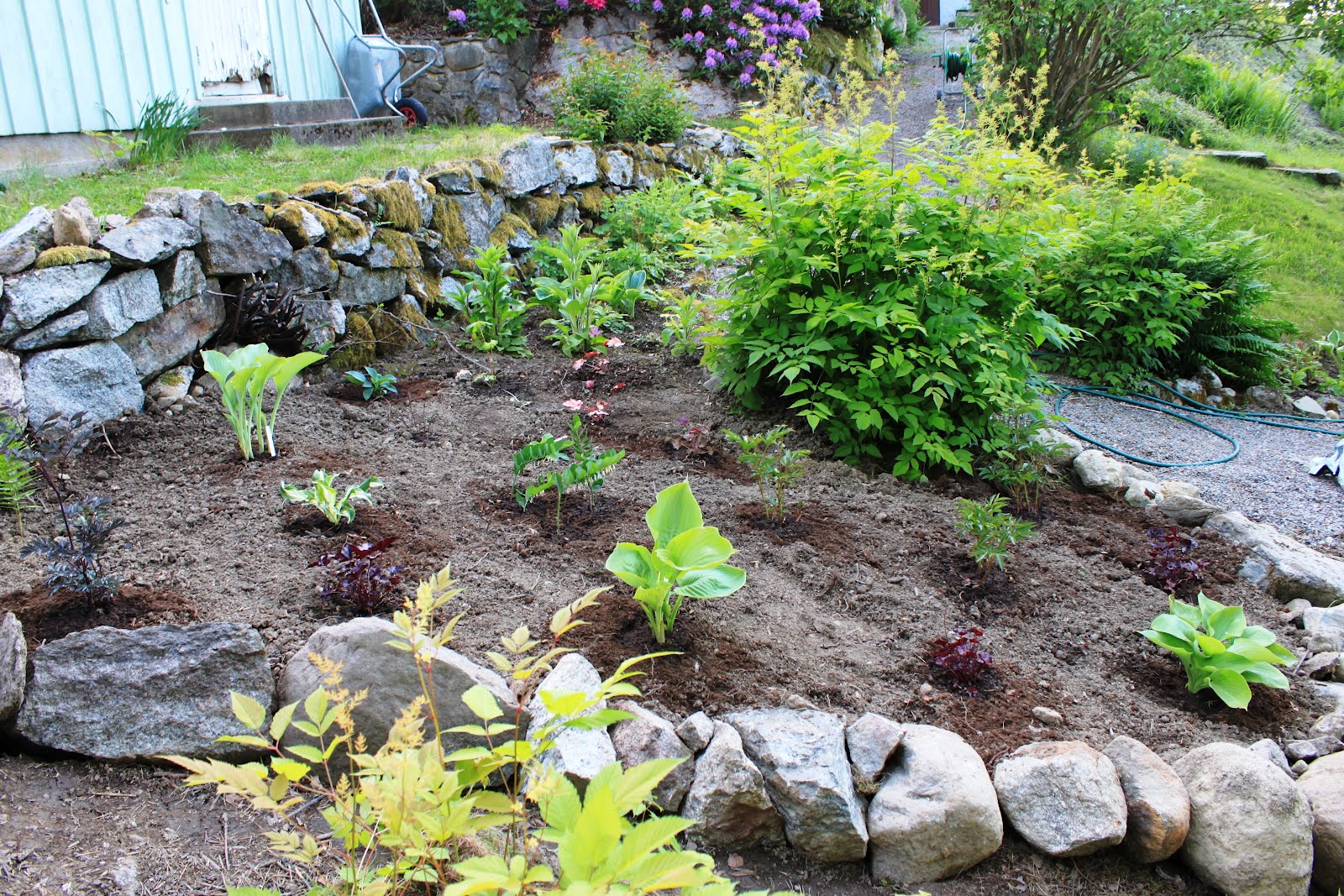 Mina trädgårdar: Första rabatten är klar