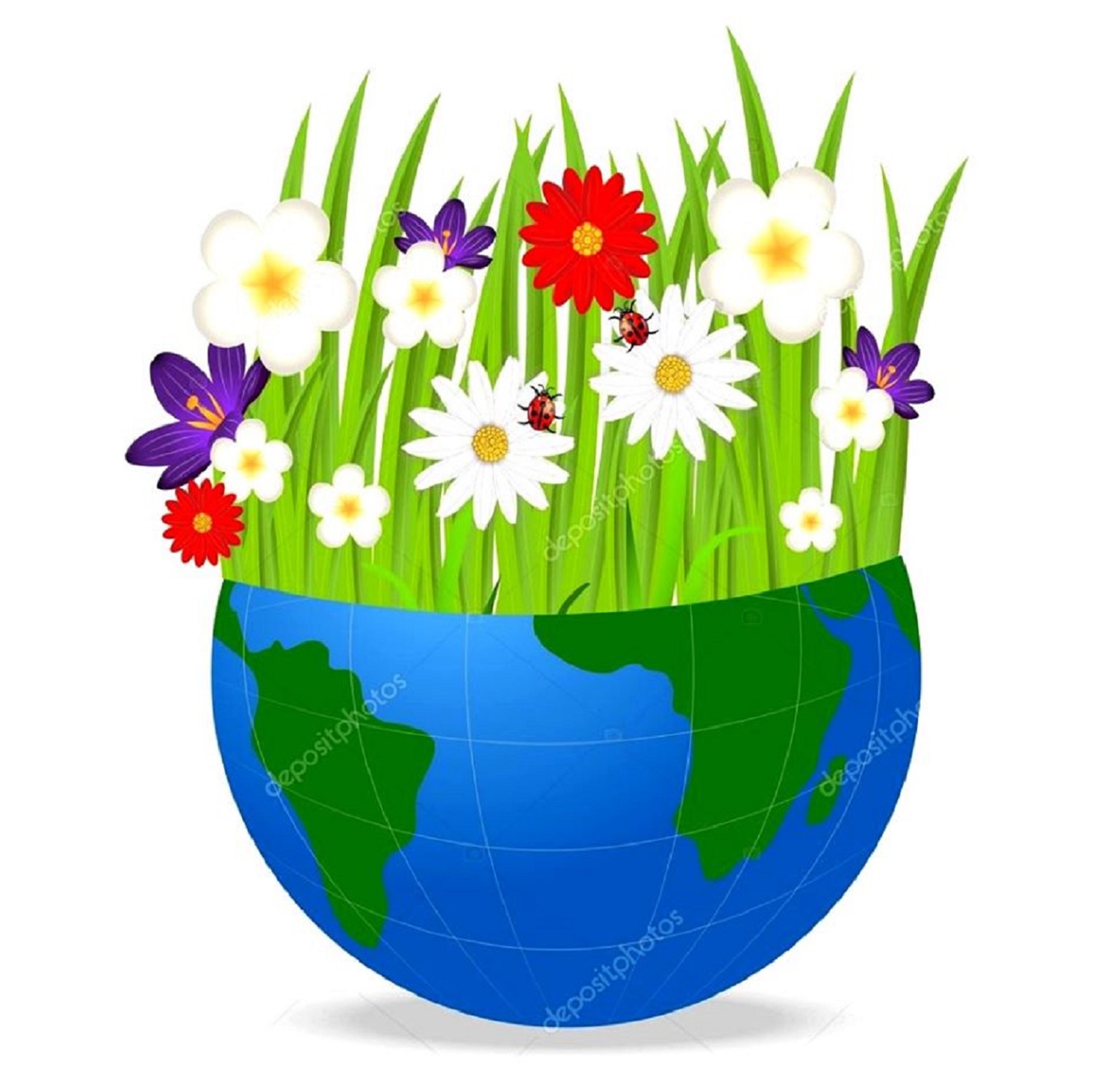 PLANETA TERRA: FLOR DA TERRA