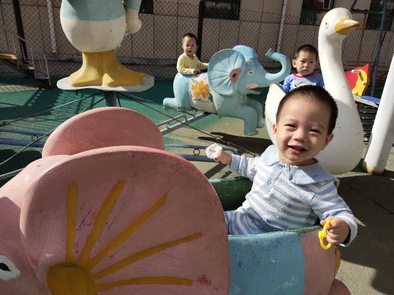 Little Flower Projects: 2020