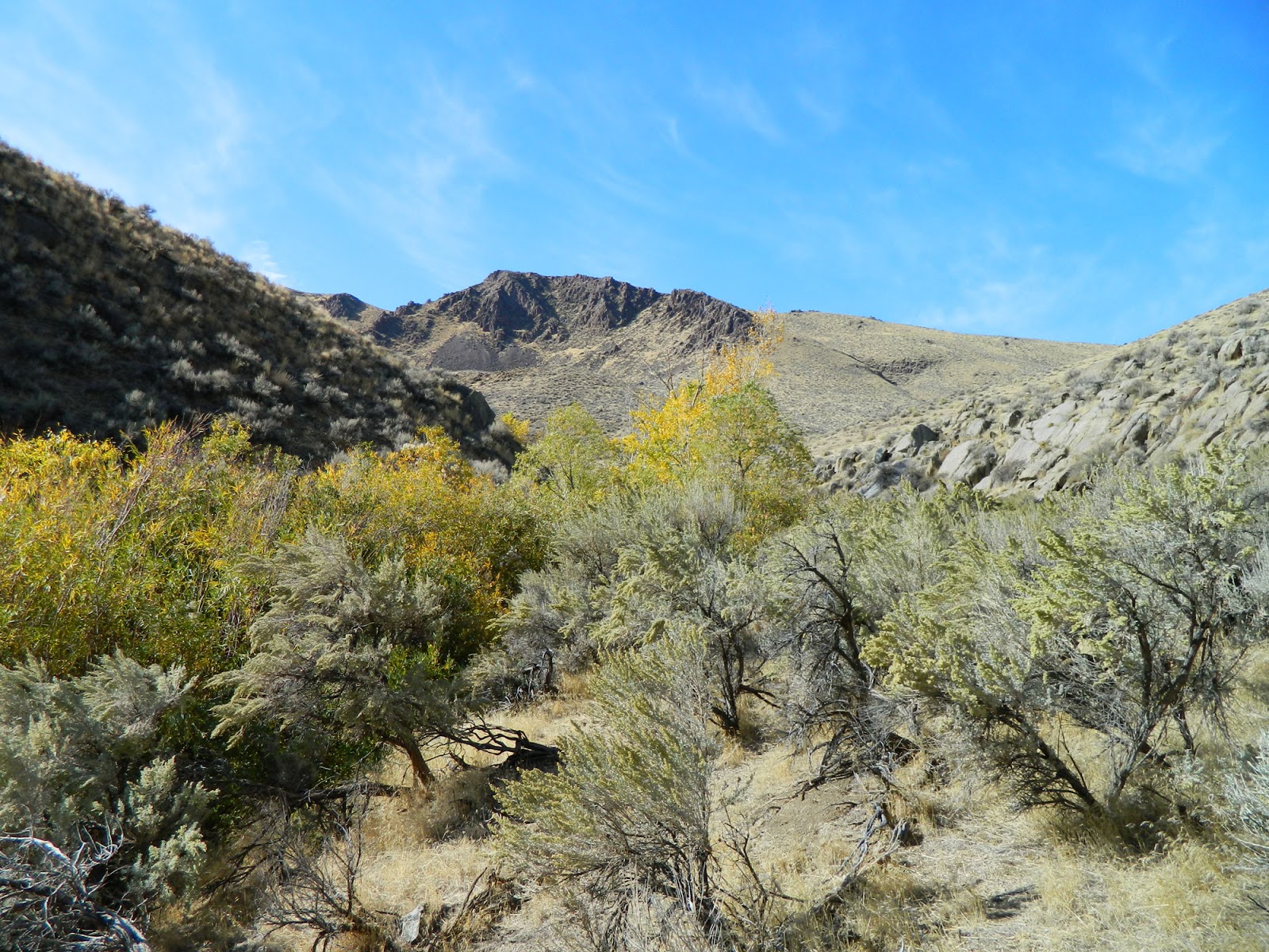 Living in Idaho: Wilson Creek Trail, Owyhees