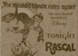 FILMOGRAFIA DISNEY: DISNEYLANDIA: RASCAL