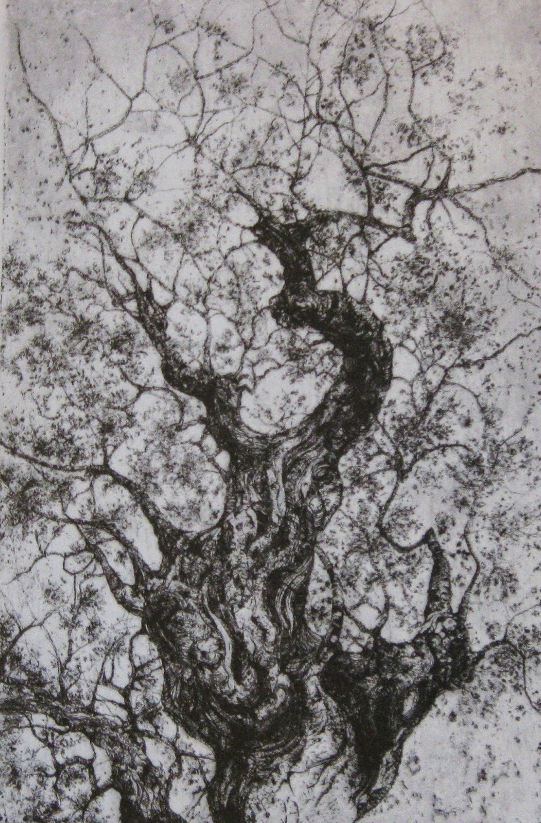 MONREALE, L'INFORMAZIONE CULTURALE: Carla Horat