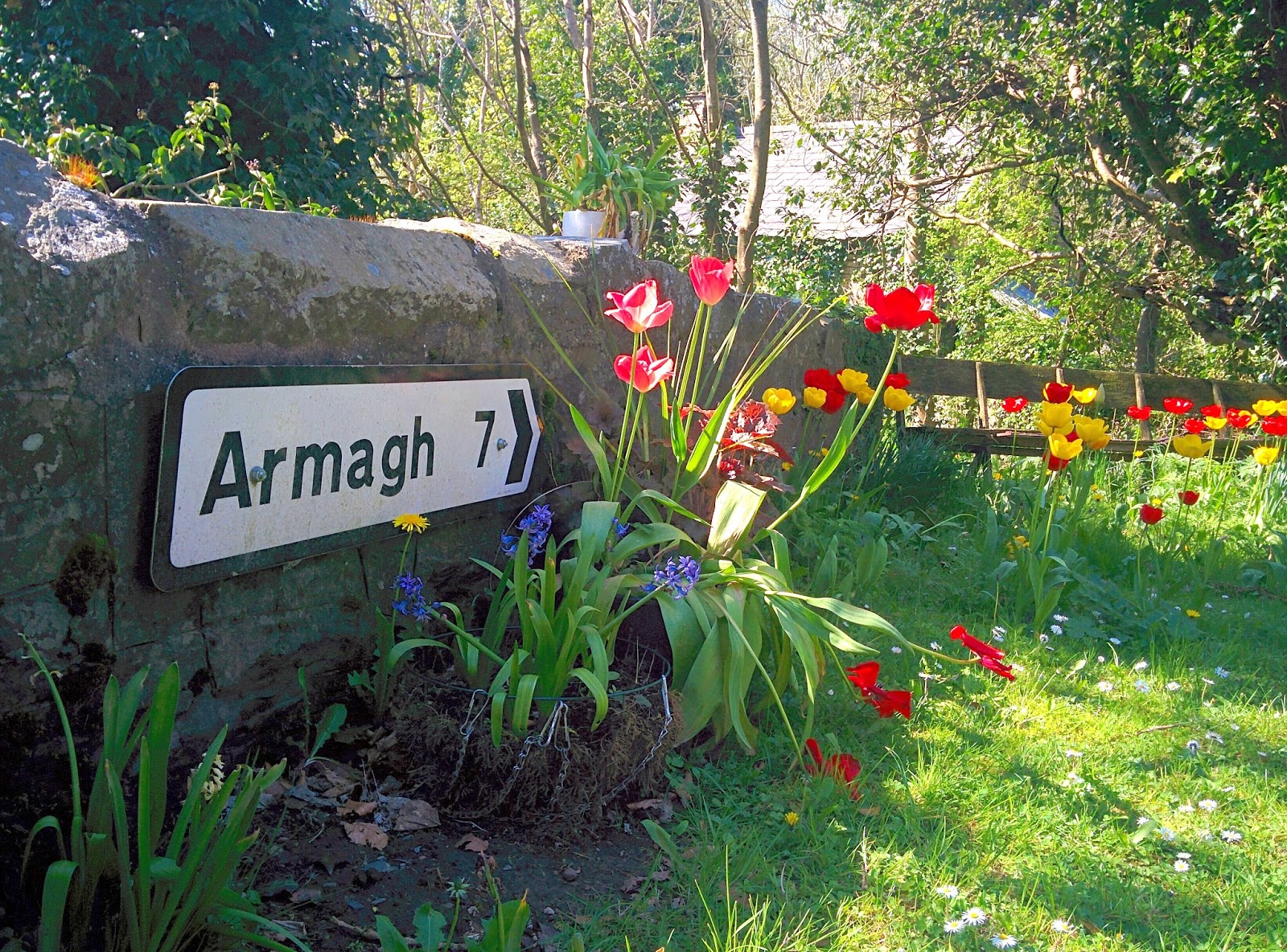 We didn't come here for the grass...: Tassagh, County Armagh - A Pretty ...