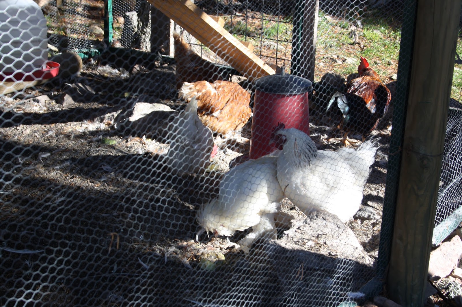 Que! paisajes!: Naturlandia Corral de Gallinas