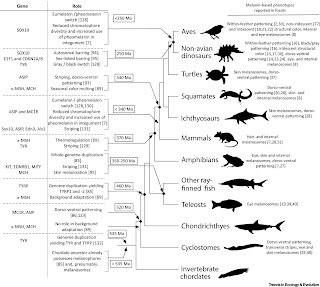 Rosa Rubicondior: Evolution News - Evolution of Skin, Fur and Feather ...