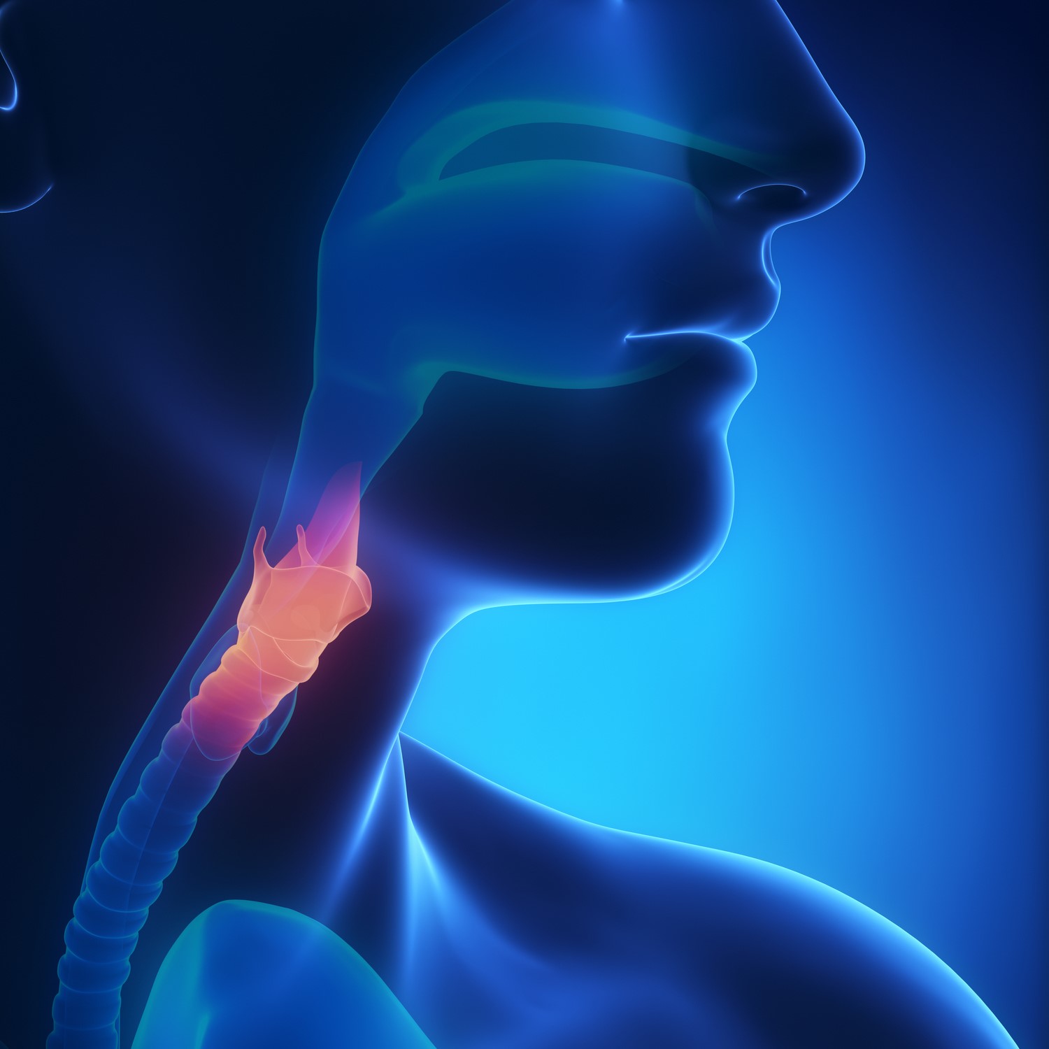 EoE Concept And Epidemiology