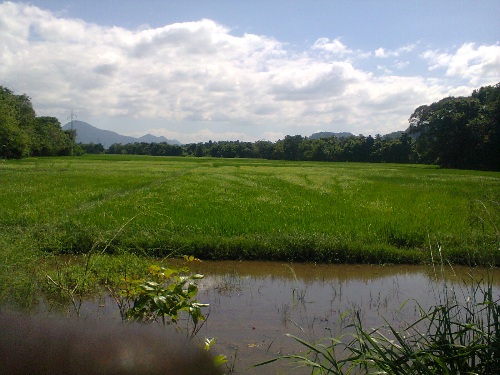 DISCOVERY Srilanka: fady field