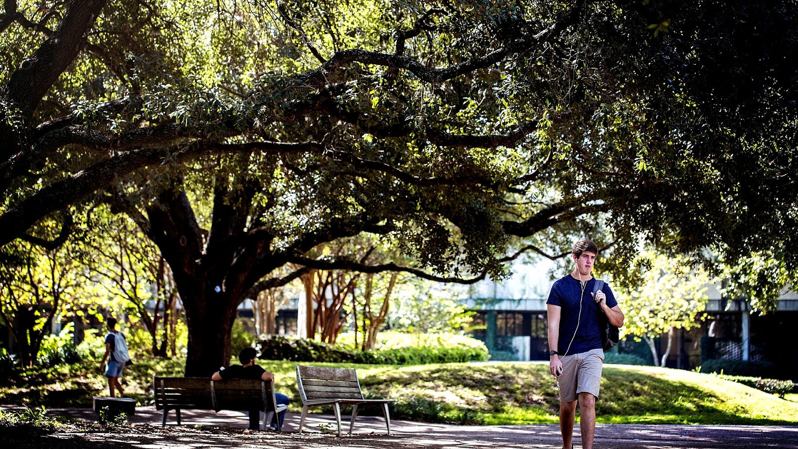 Houston Community College - College Choices