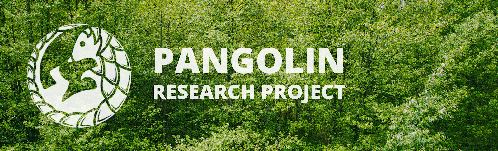 Pangolin - World's most trafficked animal!