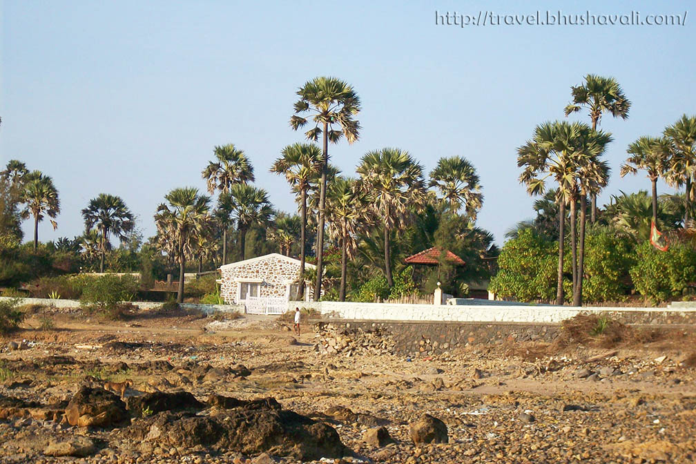 Day trip to Manori Beach & Sanjay Gandhi National Park (Mumbai ...