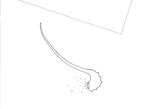 Lost Skipping Stones: Love Song of the Involute Shell