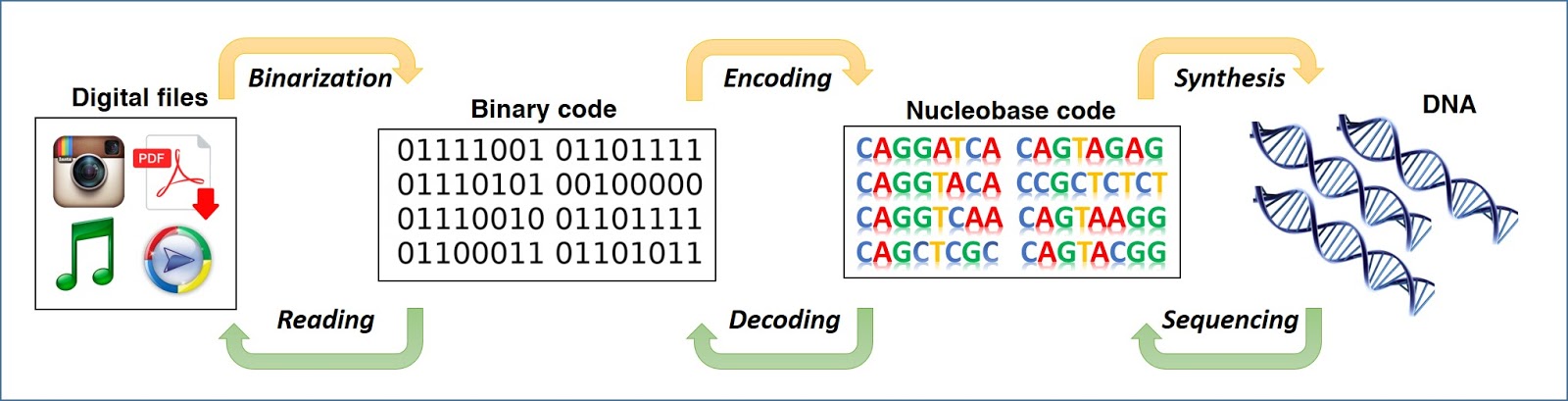 Science Types: Your next generation data storage solution: DNA