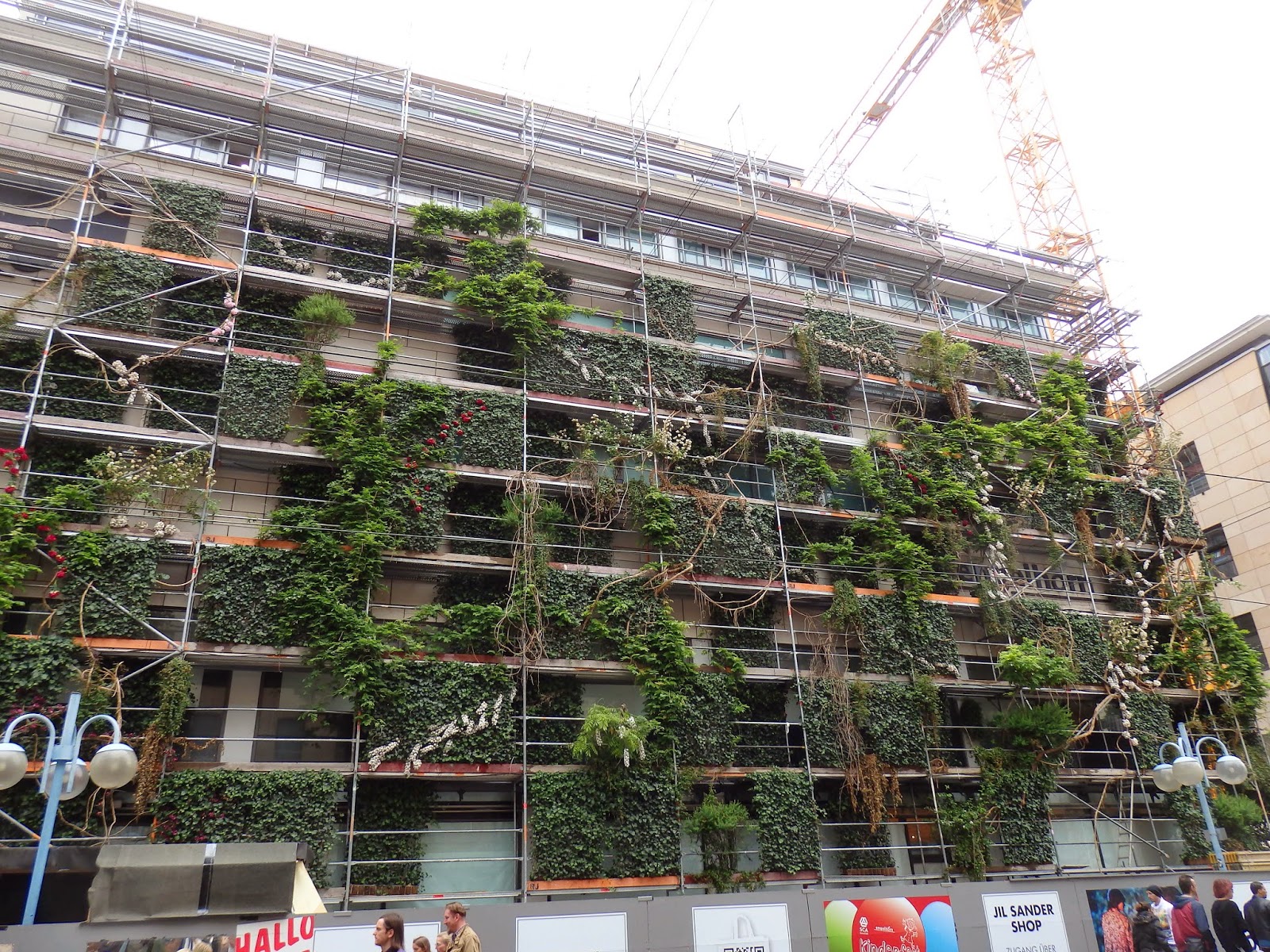 General, non-compensatory leave!: Creative Scaffolding