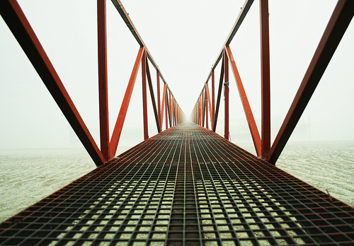 Photography Tips (Elements of Composition) ~ TWENTYFOUR