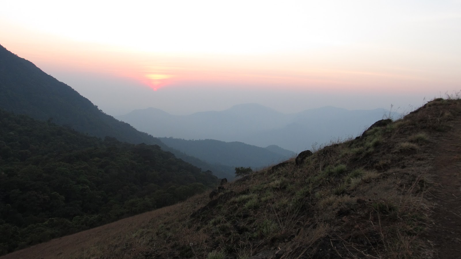 Quirky and whimsical trips of a nomad: Kodachadri Trek - A Photo-Blog
