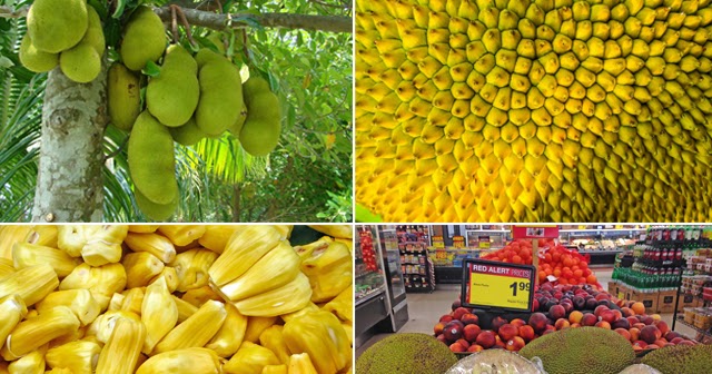 Cardamom Kitchen: Slice and Dice: Jackfruit