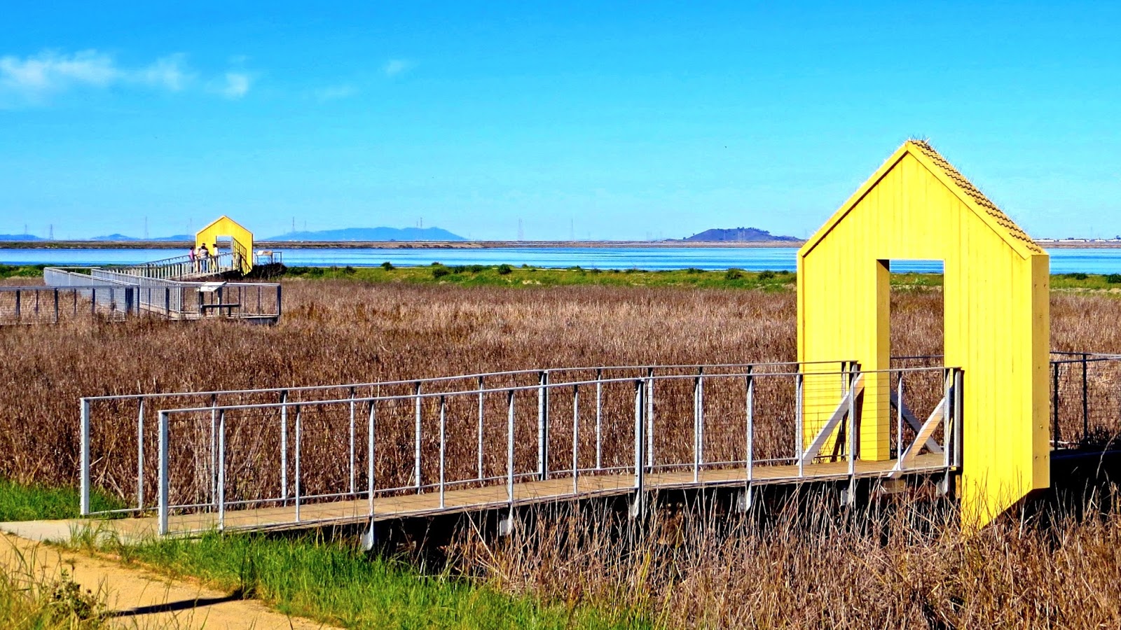 Adventures From A Wheelchair: Alviso Marina County Park