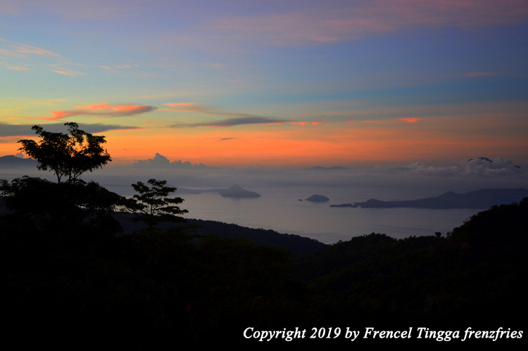 Frenz Fries: Overlooking Forest Cabin, Tagaytay