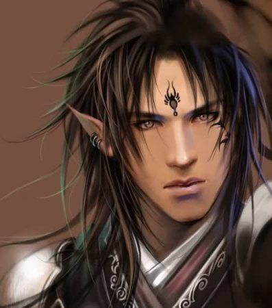 La Porta Dei Sogni : Gli Elfi