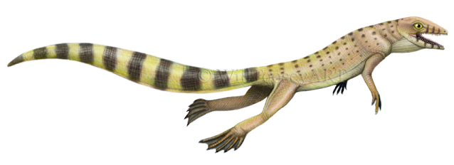 Palaeofauna: Earliest Stages of Diapsid Evolution - Part I ...