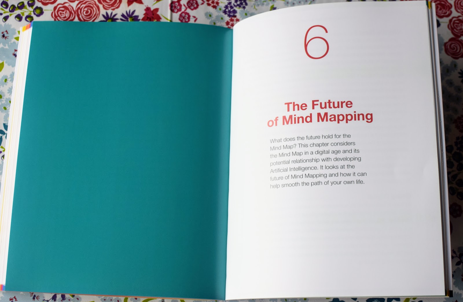 Win a Copy of Mind Map Mastery by Tony Buzan - Diary of the Evans-Crittens