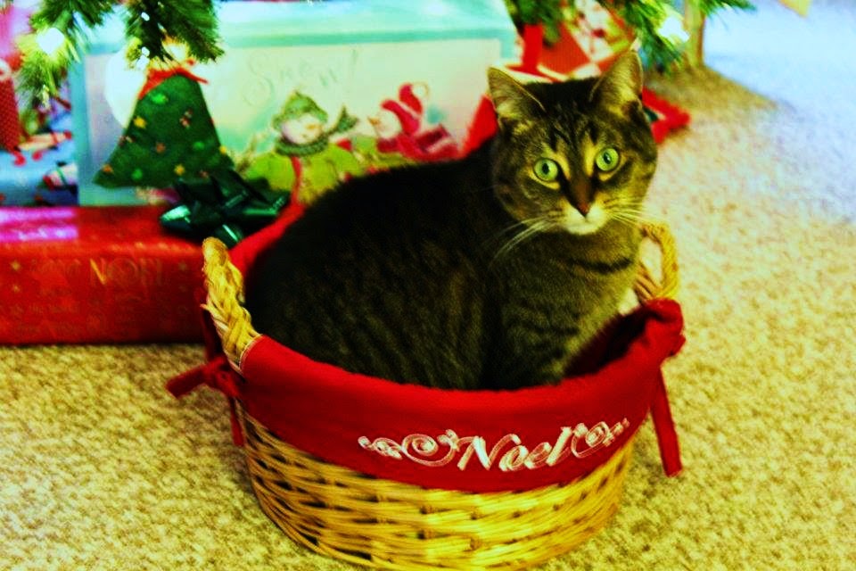 David Troxler's Instagram, Twitter & Facebook on IDCrawl