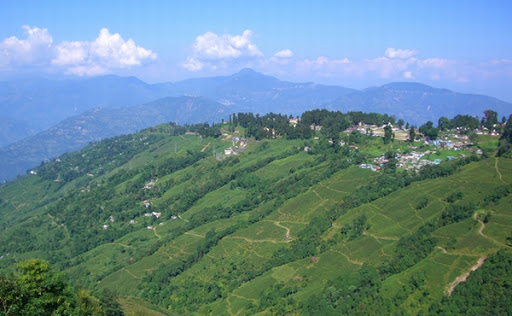 Dow Hill Forest, Kurseong, India