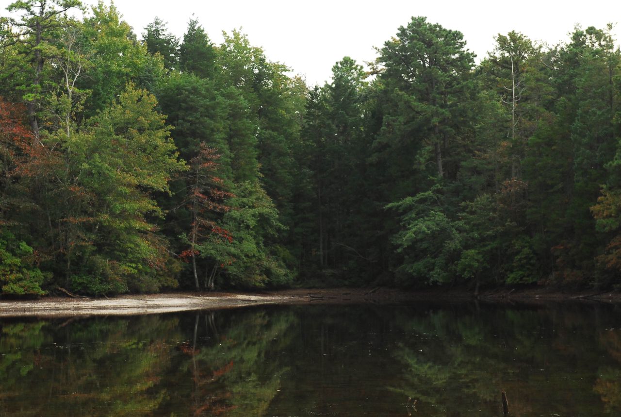 Camping at Belleplain State Forest |TashLeake