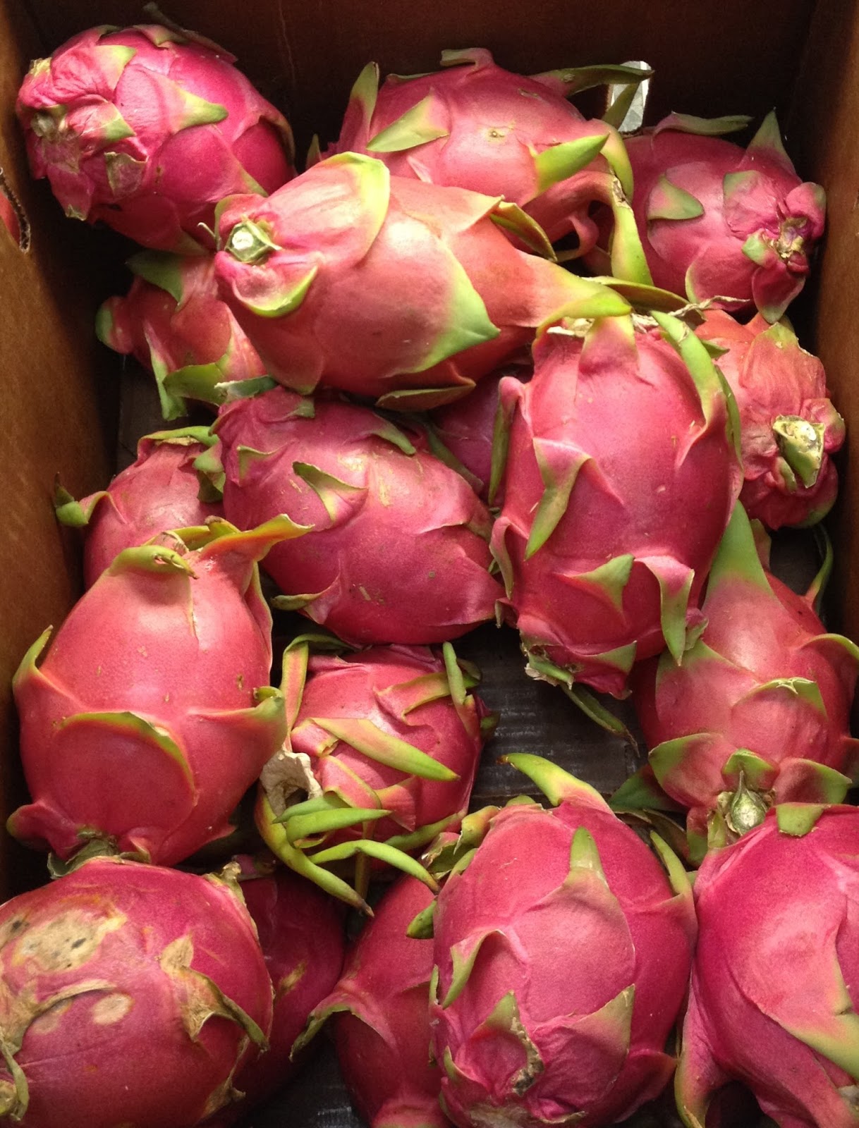 Design Sensible: Notícias das pitaias, a fruta dragão do sul de Minas.