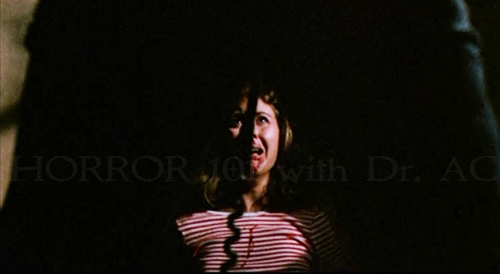 HORROR 101 with Dr. AC: THE SLUMBER PARTY MASSACRE (1982) Blu-ray Review
