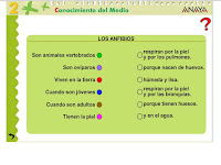 ENTRENA CON LAS CIENCIAS: UNIDAD 2 - MUCHOS REINOS COMPARTEN EL MEDIO ...