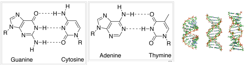 BUTIRAN ILMU...: DNA