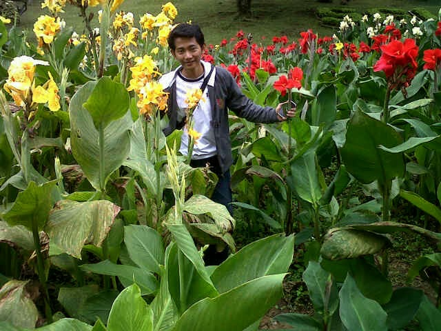 Taman Bunga Selecta ~ UTAMA