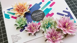 Vellum projects and tutorial