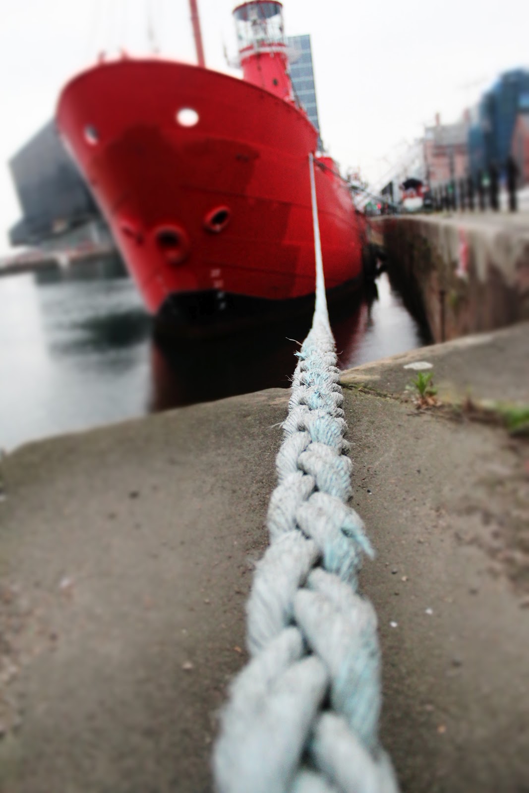 Ryan Birchall Photography: Low Angle shooting