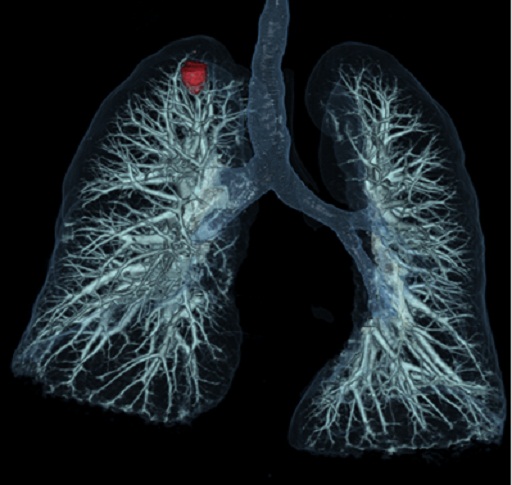 CIENCIAS DE LA SALUD