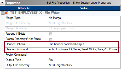Diksha Sea: [INFORMATICA] How To Customize Your Target Flat File Column ...