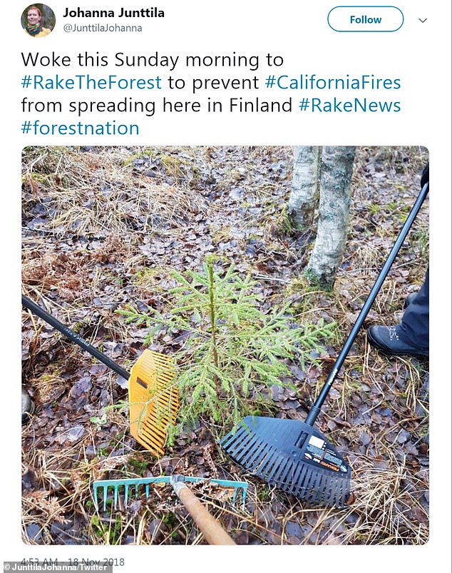 Rake news! Twitter TROLLS Trump with hundreds of memes after he claims ...