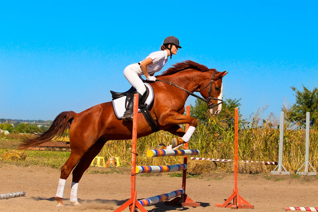 Cómo entrenar a tu caballo para que salte