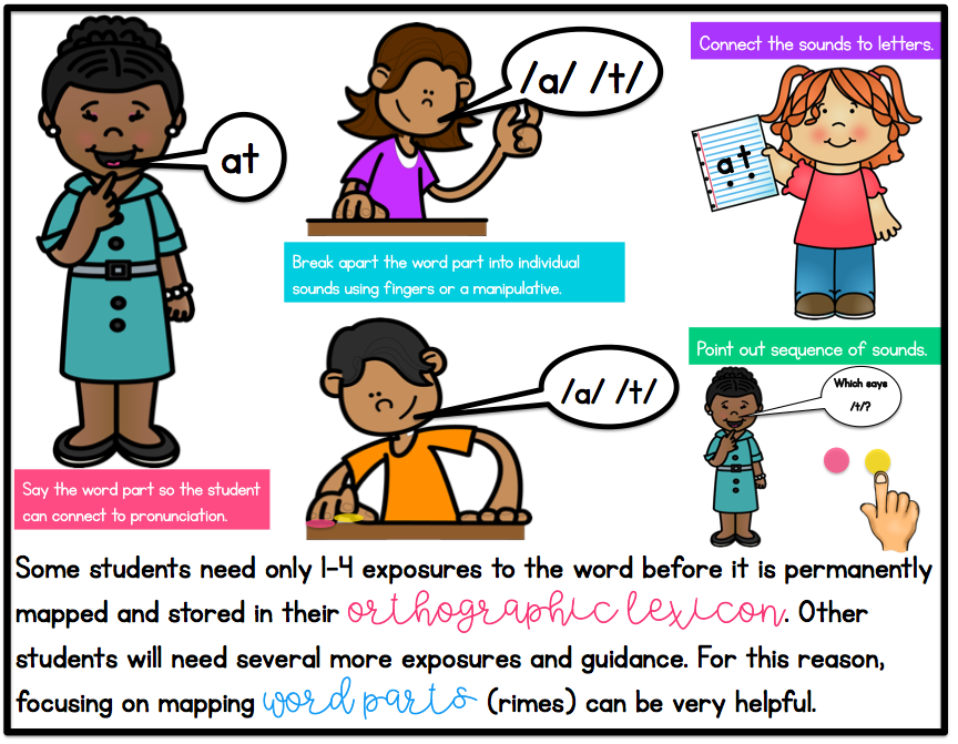 How Do We Learn New Words? Orthographic Mapping | Sarah's First Grade ...