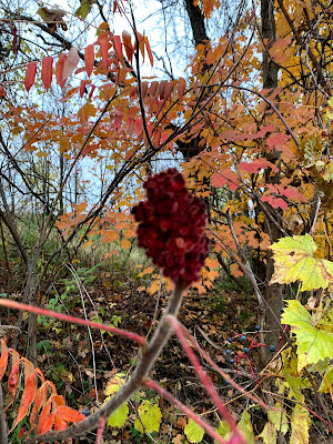 Natural Dyeing with Sumac Berries